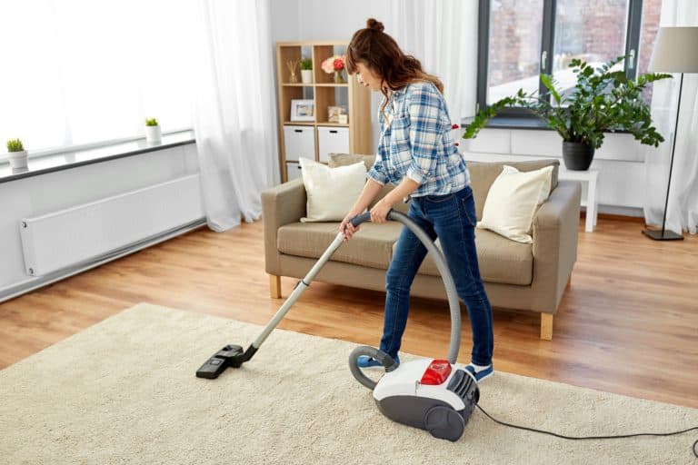 9 Best Multi Surface Vacuums (2022 Reviews) - Oh So Spotless
